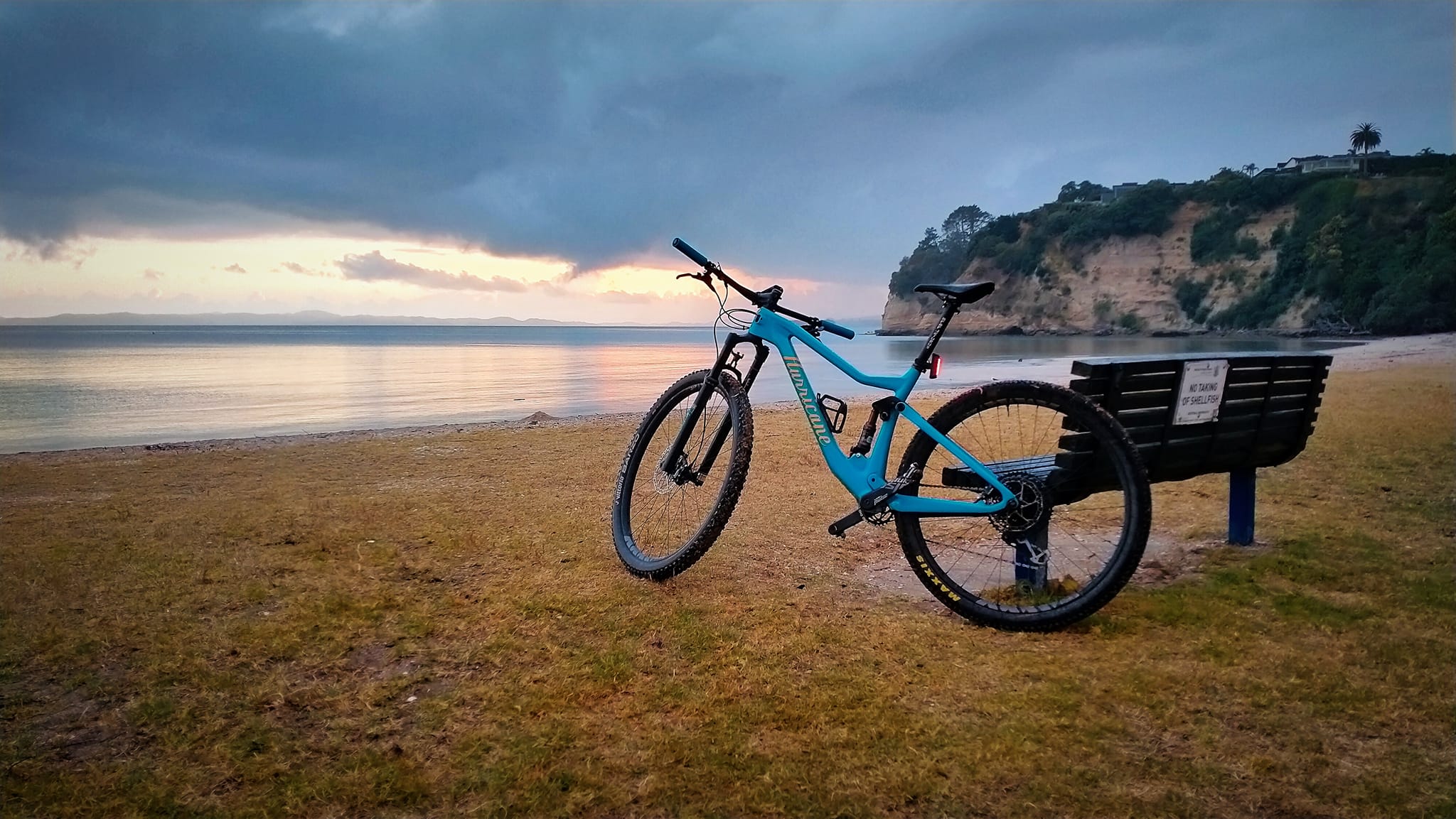 Decal City – Decal City NZ